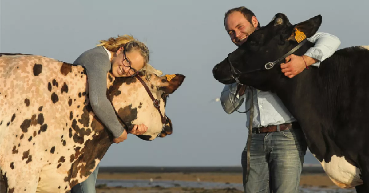 Salon International de l'agriculture | FranceTvPro.fr