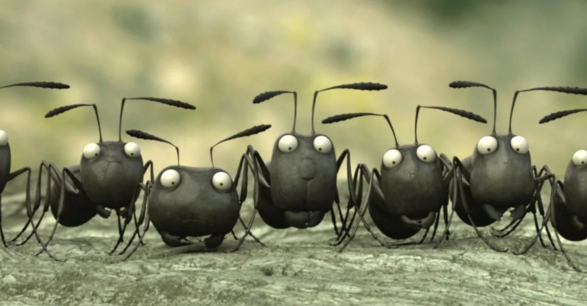 Minuscule : La Vallée des fourmis perdues | FranceTvPro.fr
