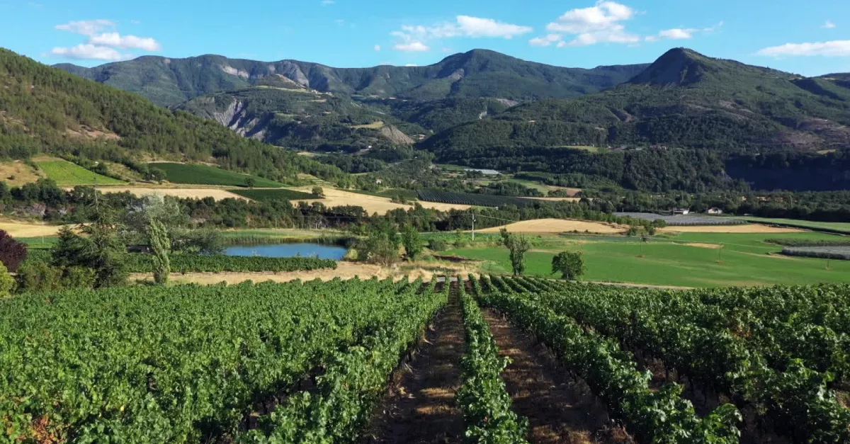 Chroniques d'en haut | FranceTvPro.fr